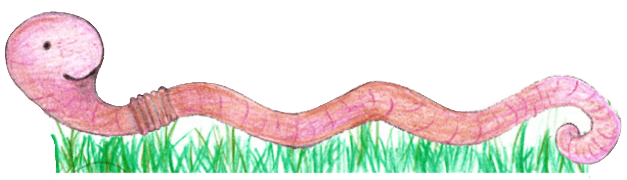 Worm Craft