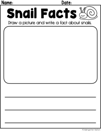 Snail Craft - An Easy Paper Snail Craft For Kids